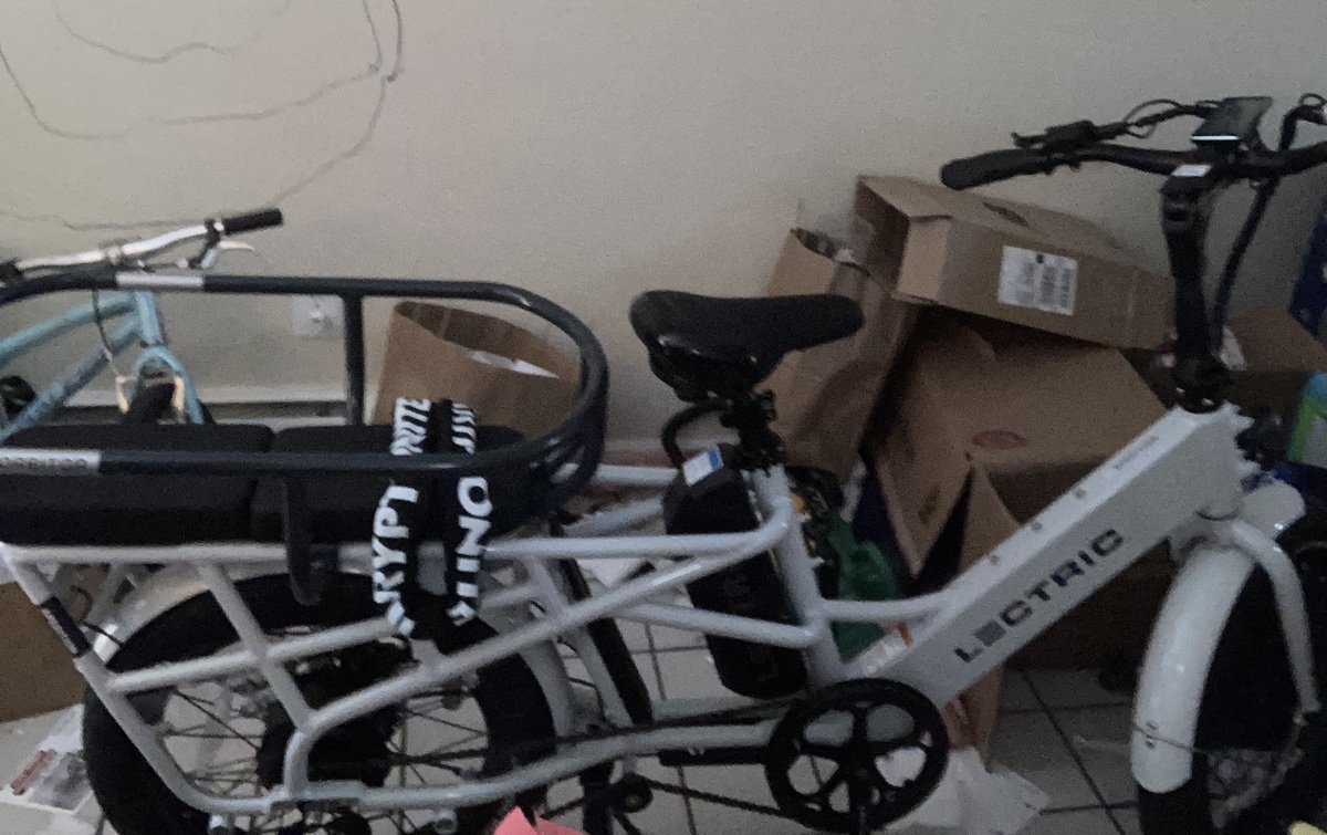 2023 Lectric eBikes xpedition cargo bike rear