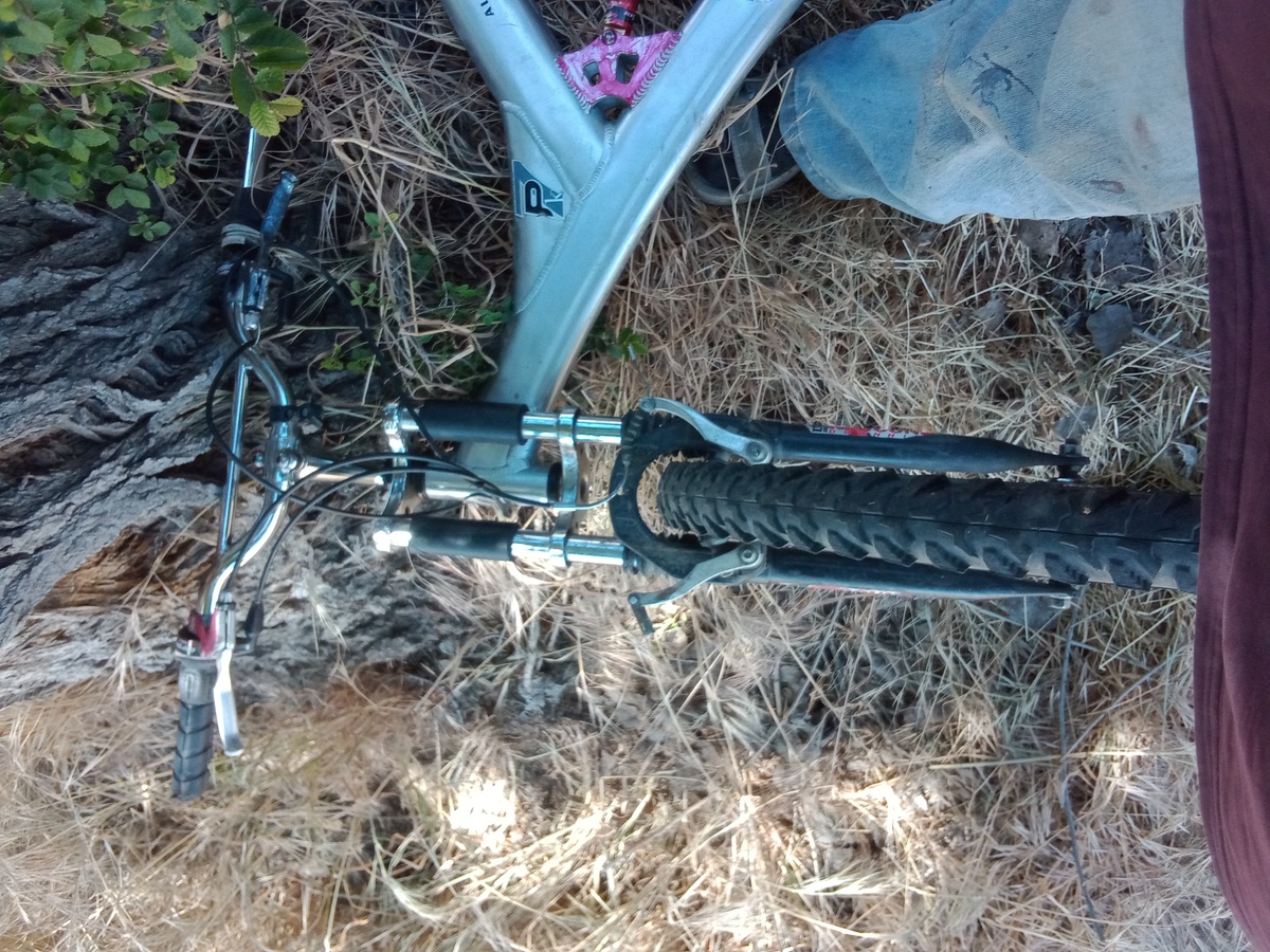 2001 Veetical Mountain bike