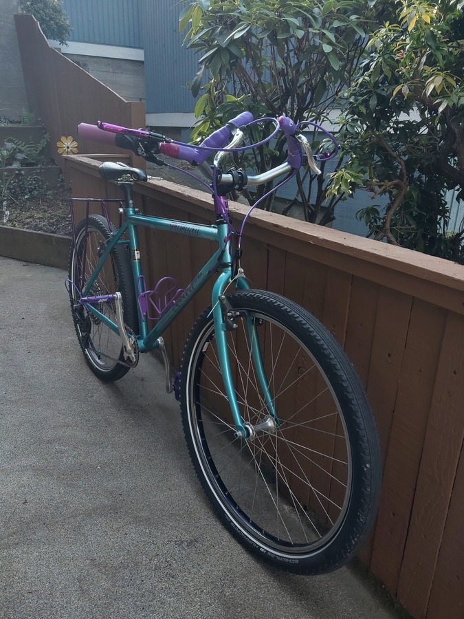 1992 Specialized Rockhopper