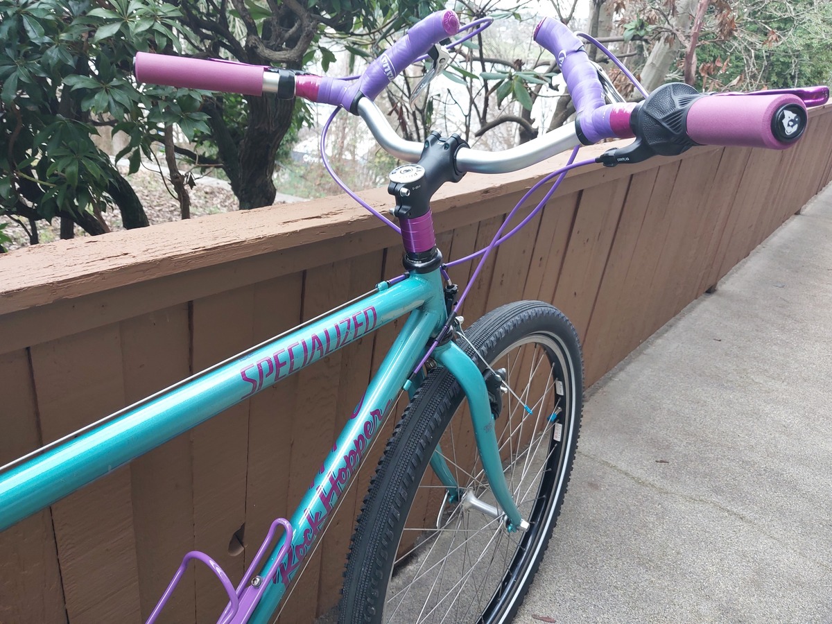1992 Specialized Rockhopper