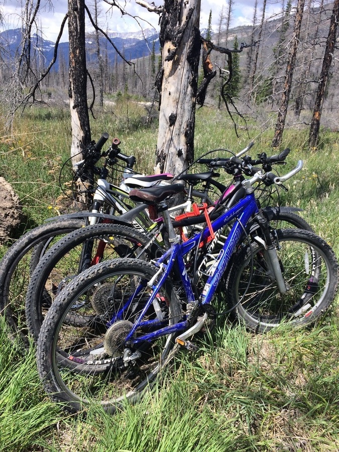 Specialized Rockhopper