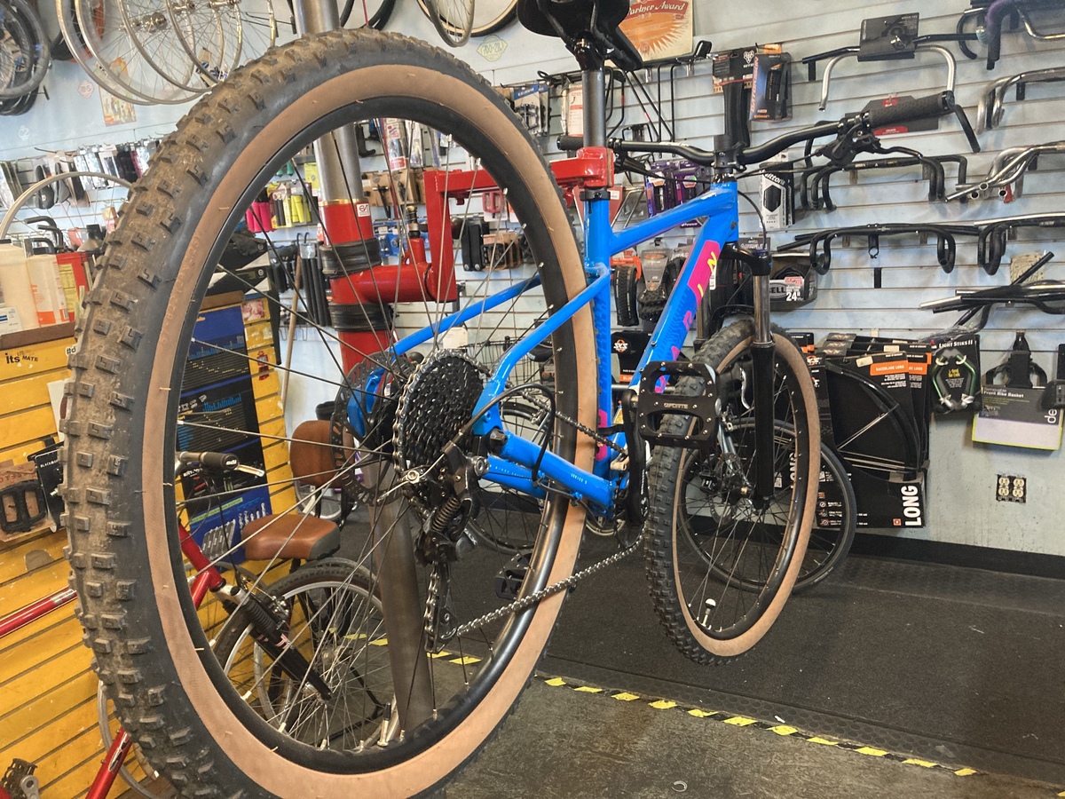 2022 Marin Bikes Bobcat Trail 3