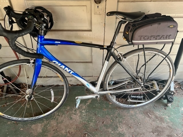 Giant OCR 1