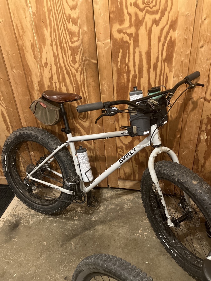 2019 Surly Wednesday