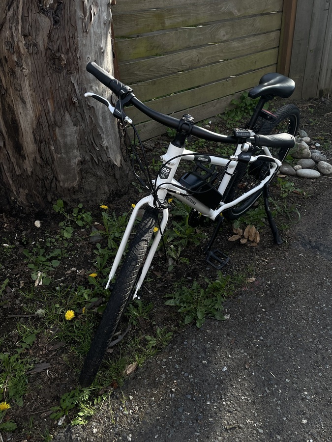 2022 Rad Power Bikes Rad Mission