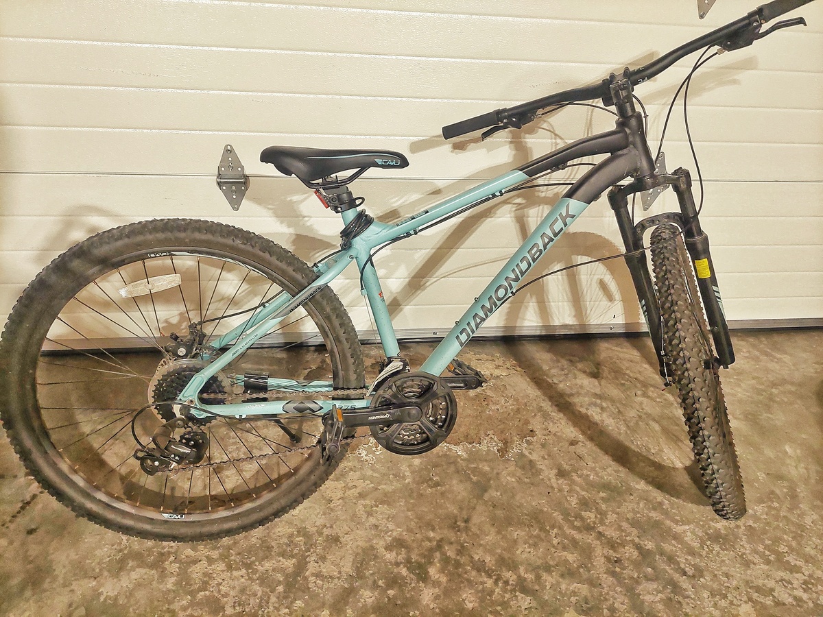 2022 Diamondback Expresso