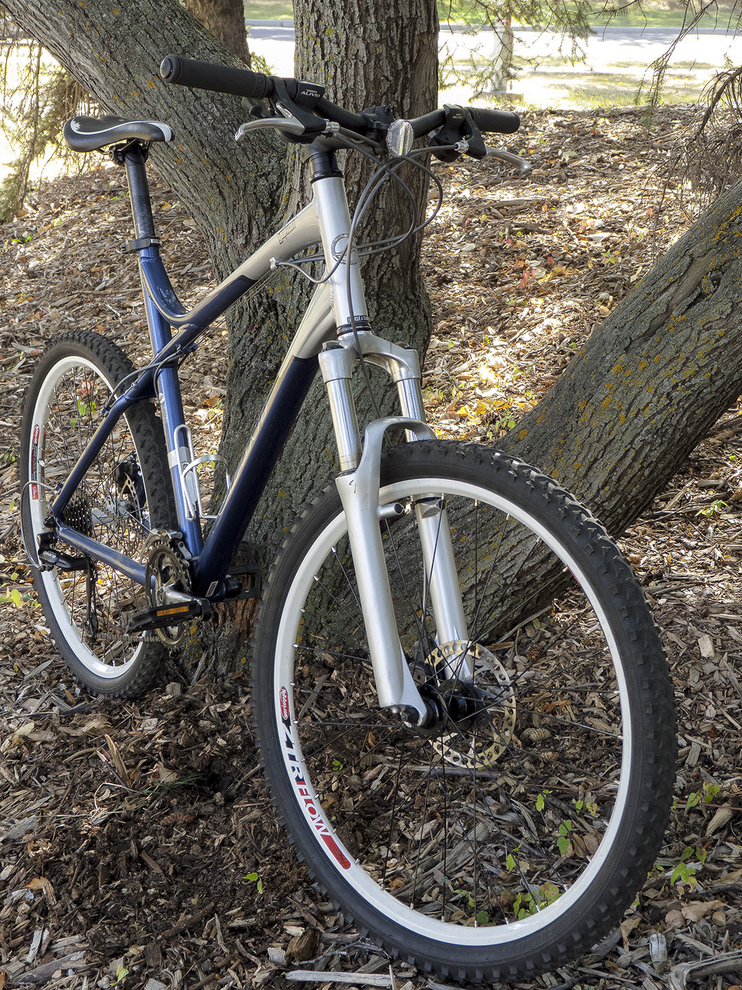 2009 Giant Yukon FX