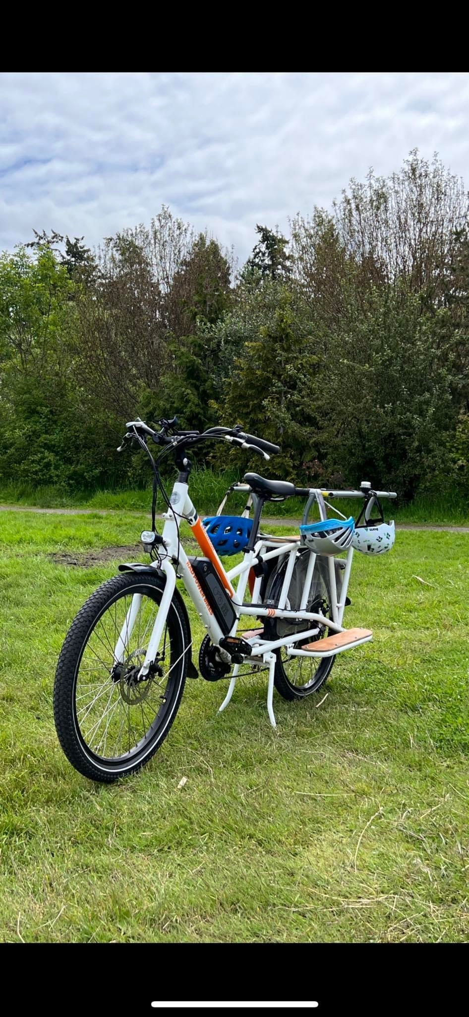 Stolen 2020 Rad Power Bikes Rad wagon - gen 1