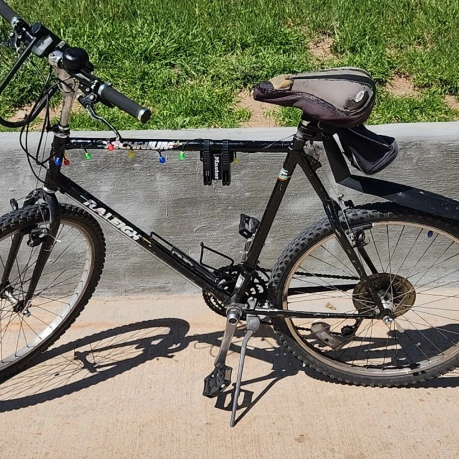 1991 Raleigh Technium
