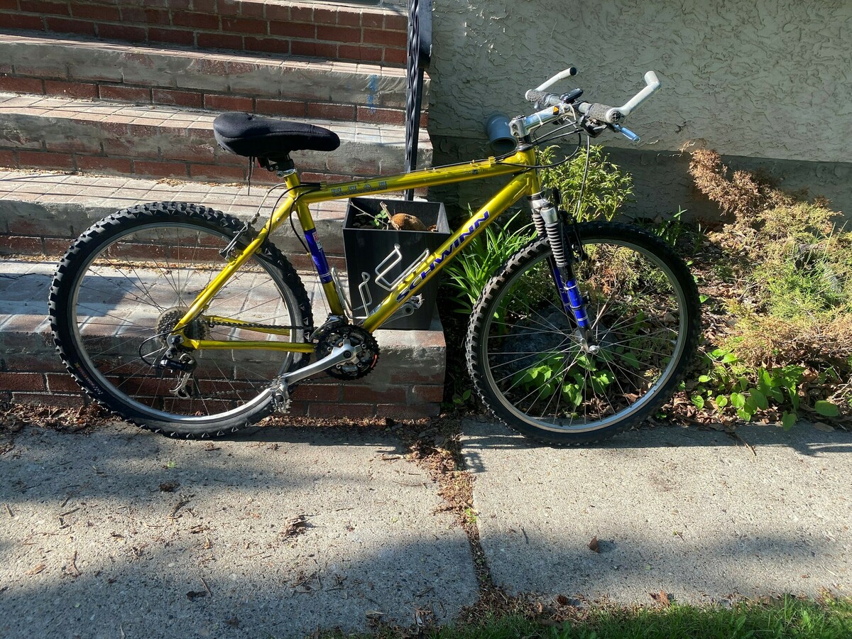 1999 Schwinn