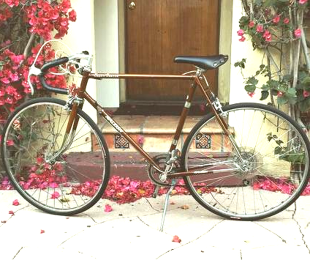 1973 Raleigh Super Course