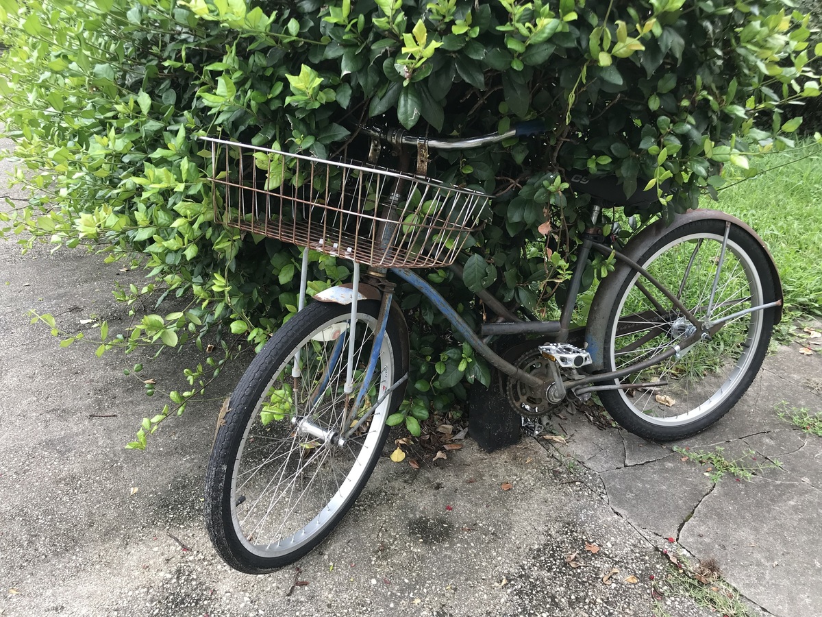 1966 Higgins Cruiser