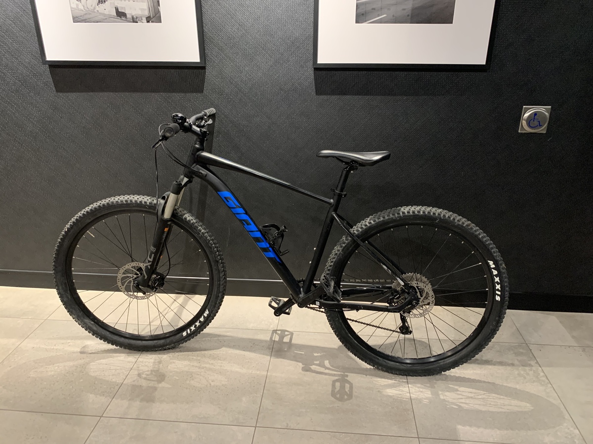Stolen 2021 Giant Talon 1