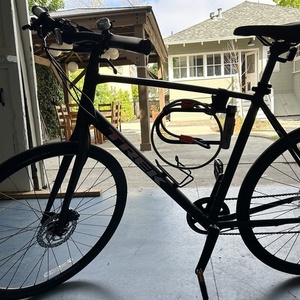 2023 Trek Alpha Gold Aluminum, DuoTrap S compat...