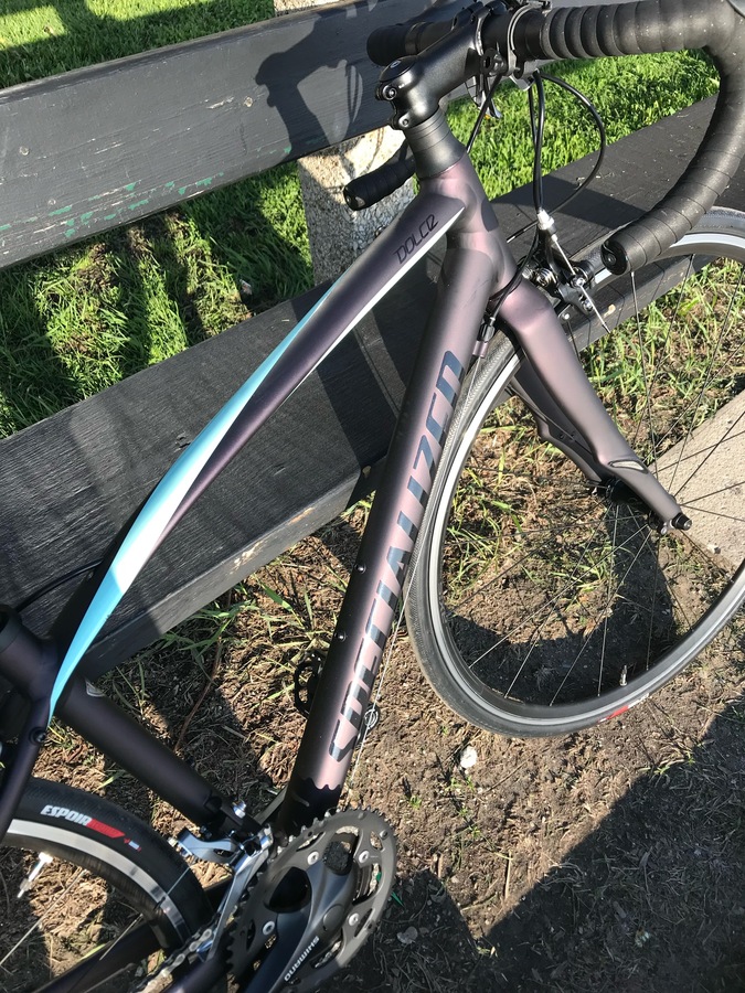 Stolen 2019 Specialized Dolce