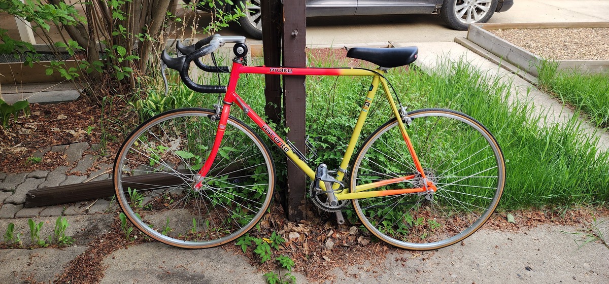 1989 Ascente Prolite