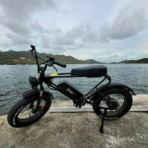 2023 Freedom 48V 20Ah DK200