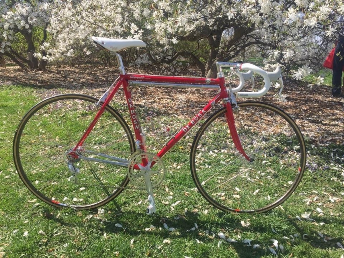 1986 De Rosa Professional