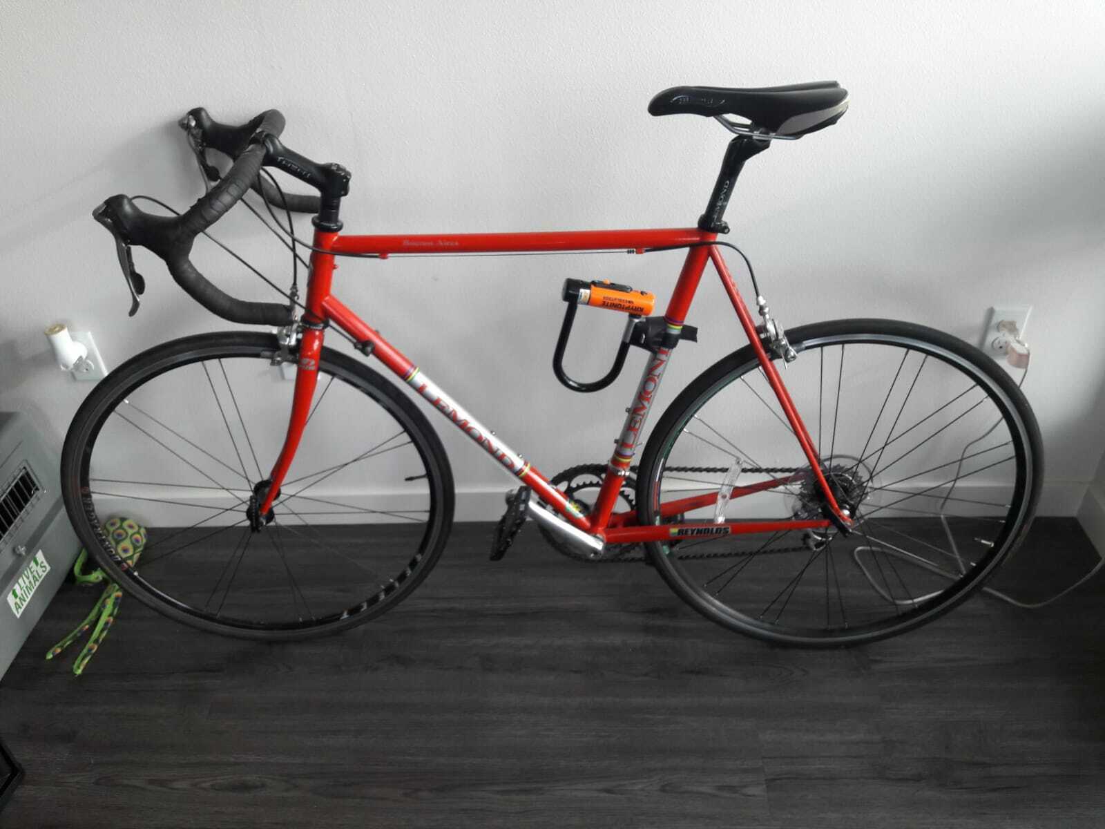 Stolen LeMond Road Bike