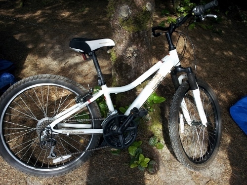 Stolen Diamondback Octane 24