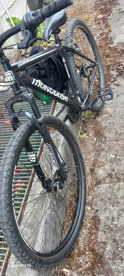 2019 Mongoose Metal