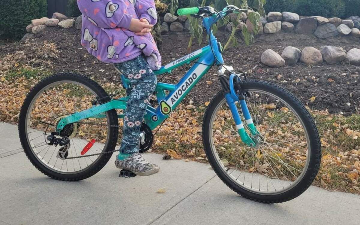 Stolen Custom painted with Avocado and decorated with Avocados Unknown