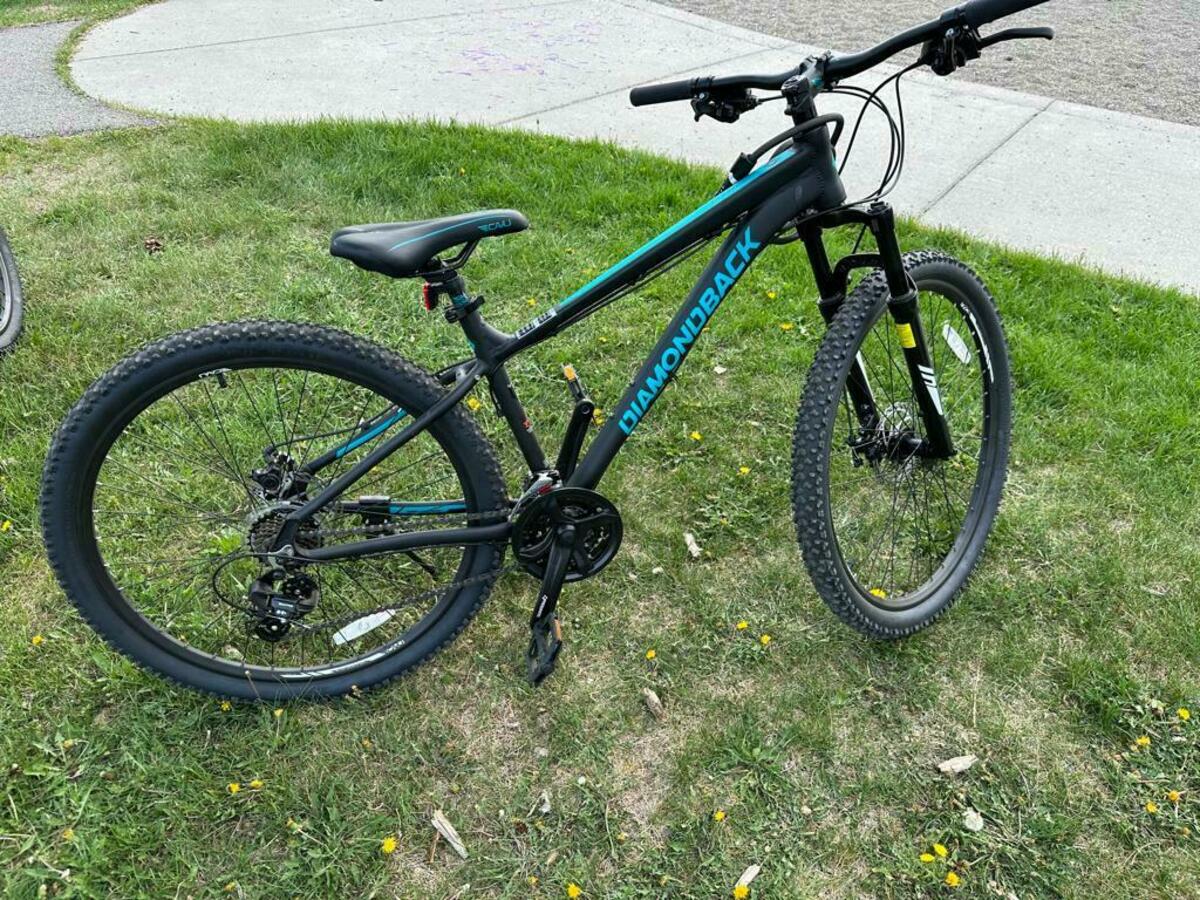 2023 Diamondback RIDGEBACK