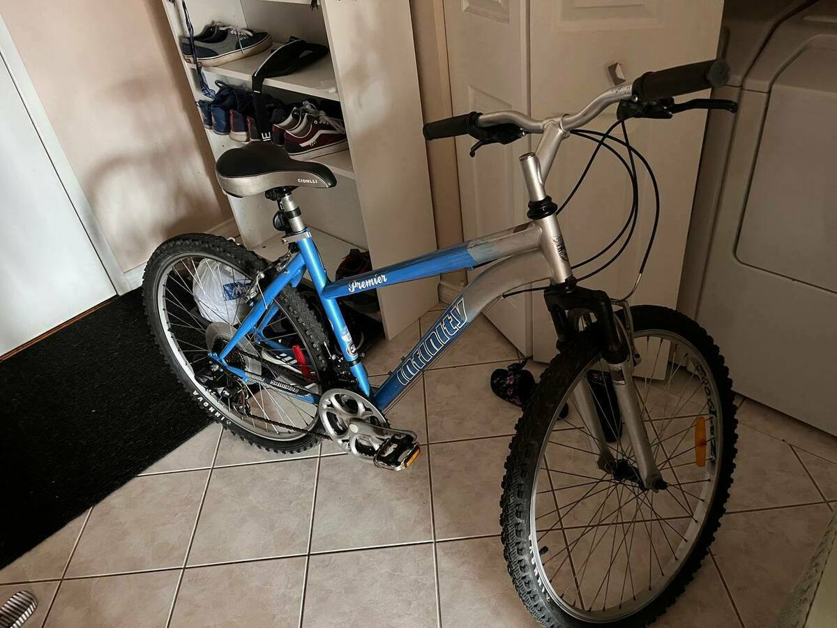 Infinity Cycle Works Premier