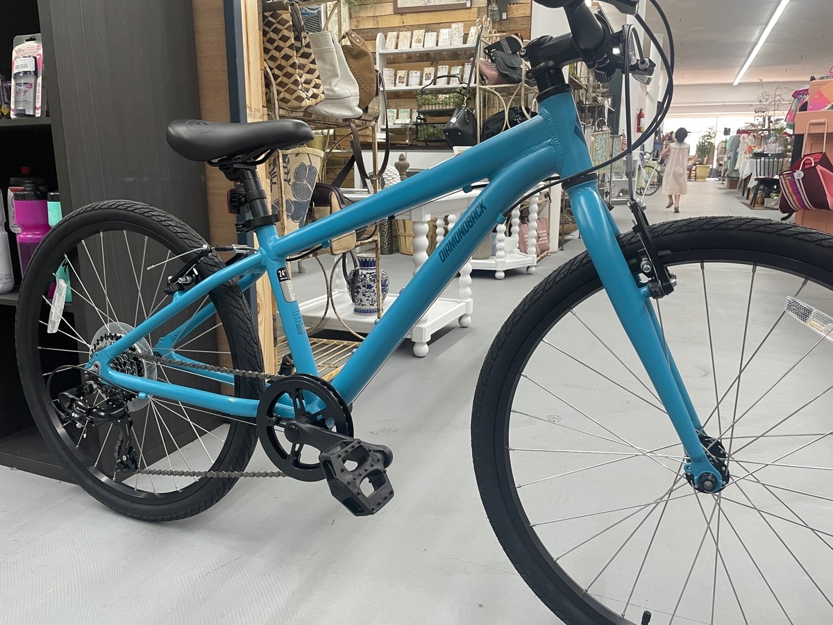 2023 Diamondback Metric 24