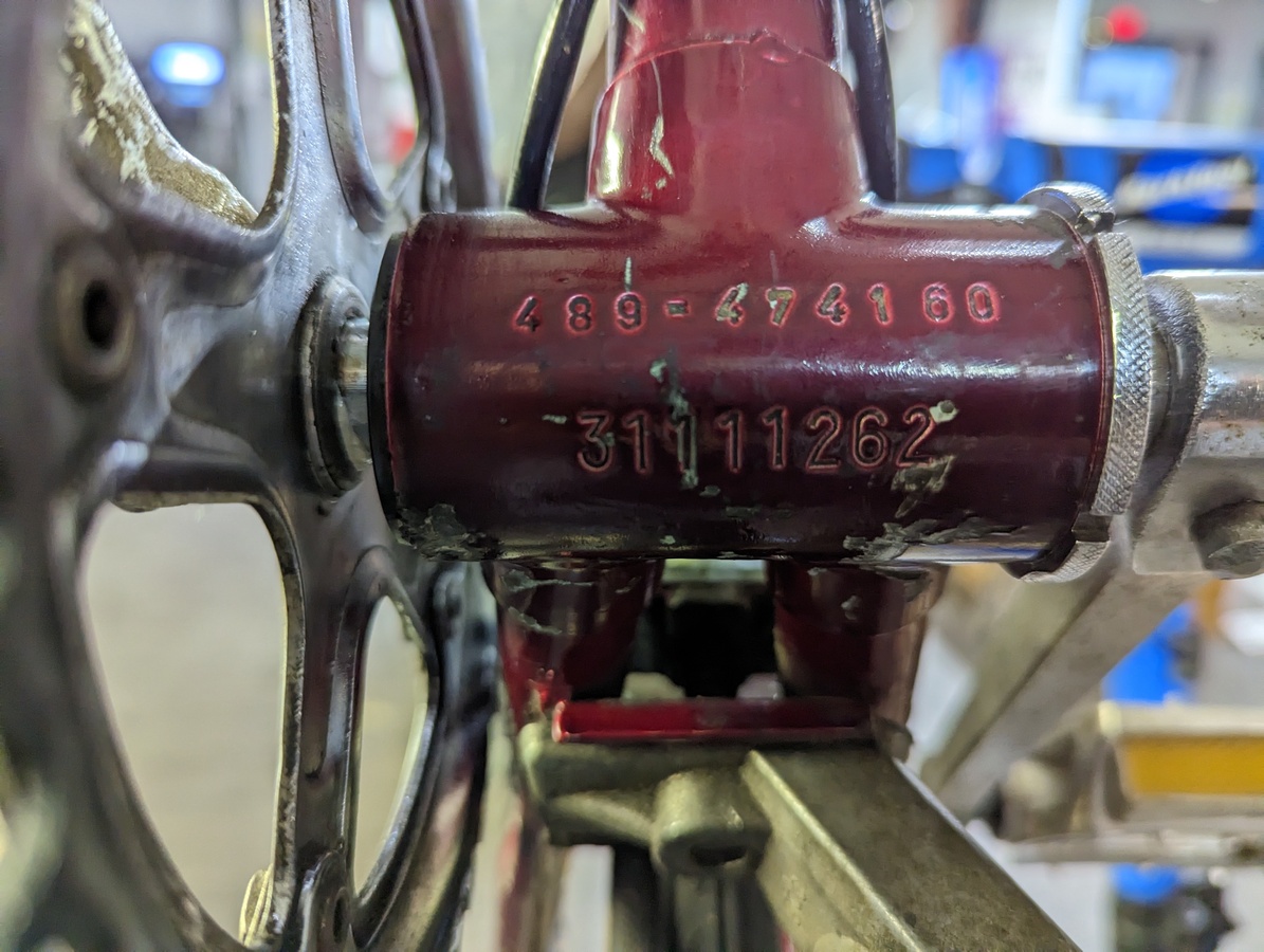 Free Spirit Brittany