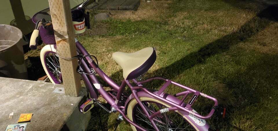 Huffy Cruiser
