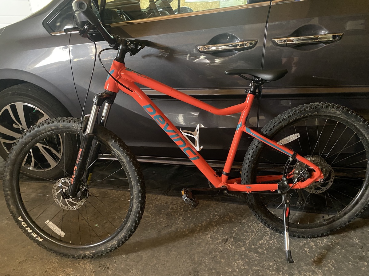 Devinci Blackbird Altus 8S Orange