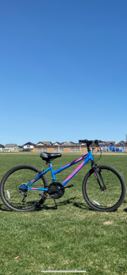 Stolen 2021 Movelo hardtail steel frame