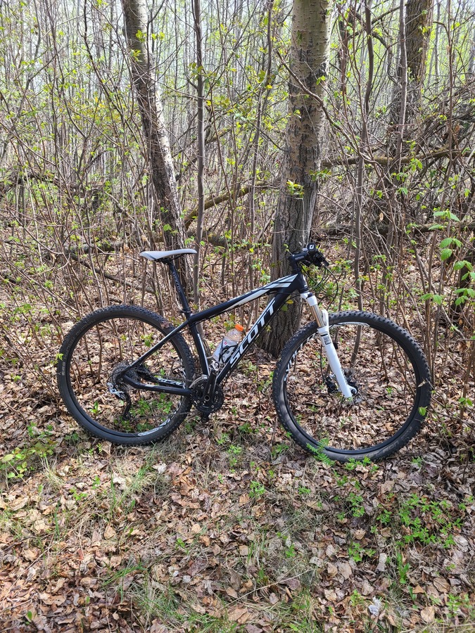 2012 SCOTT Scale 960