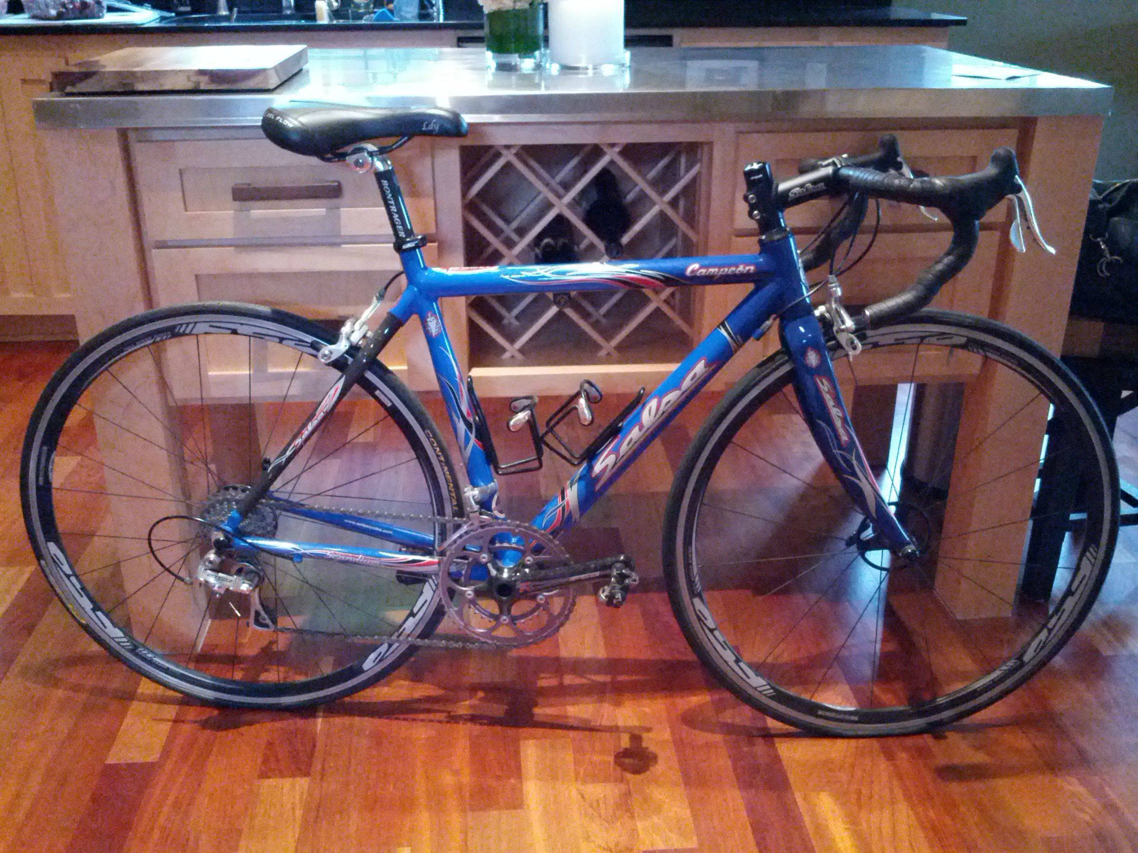 Stolen 2006 Salsa Campeon