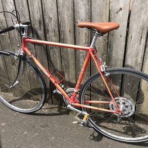 1978 Raleigh Super Course