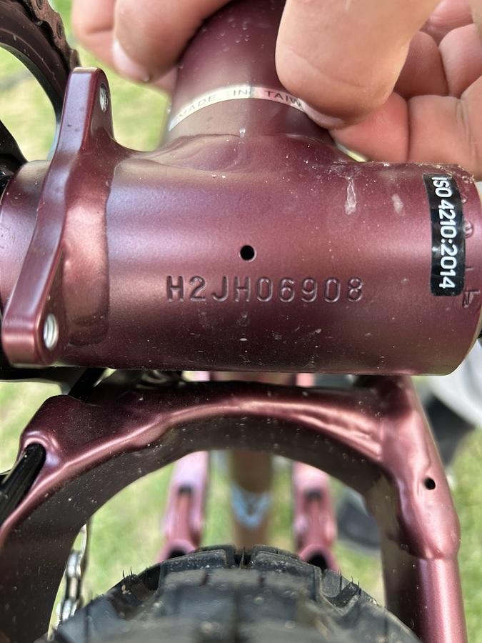 2022 Kona Process 153