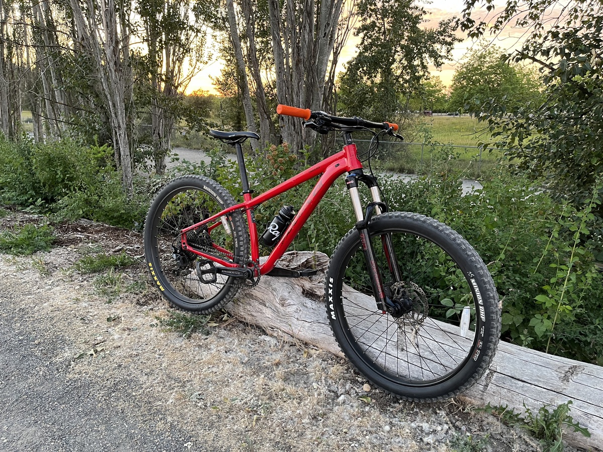 2019 Salsa Timberjack