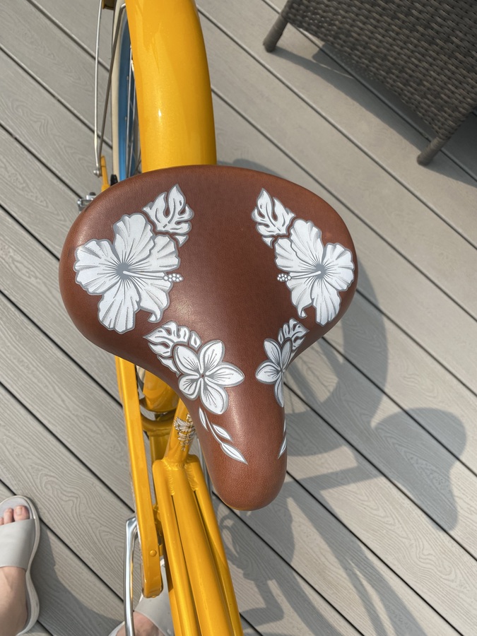 2011 Electra 3i Hawaii cruiser