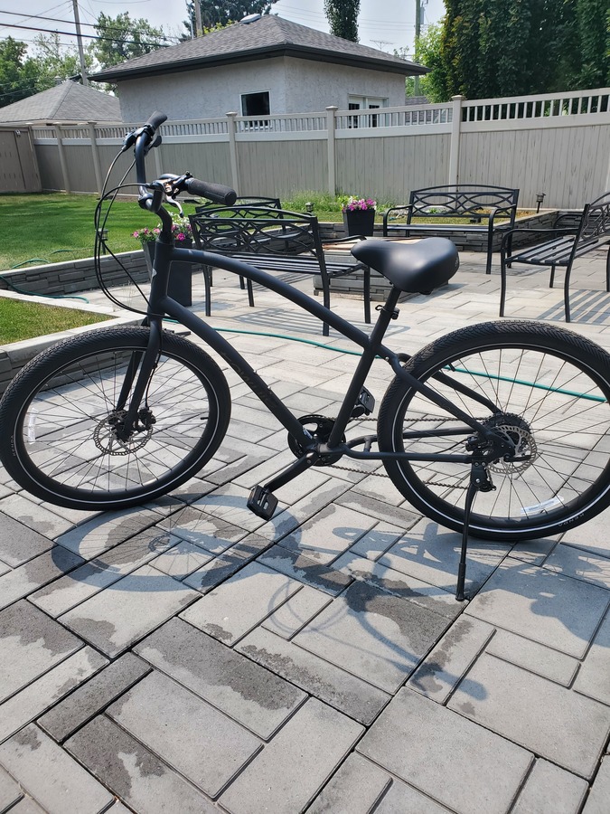 Electra Townie Path 9D Step-Over