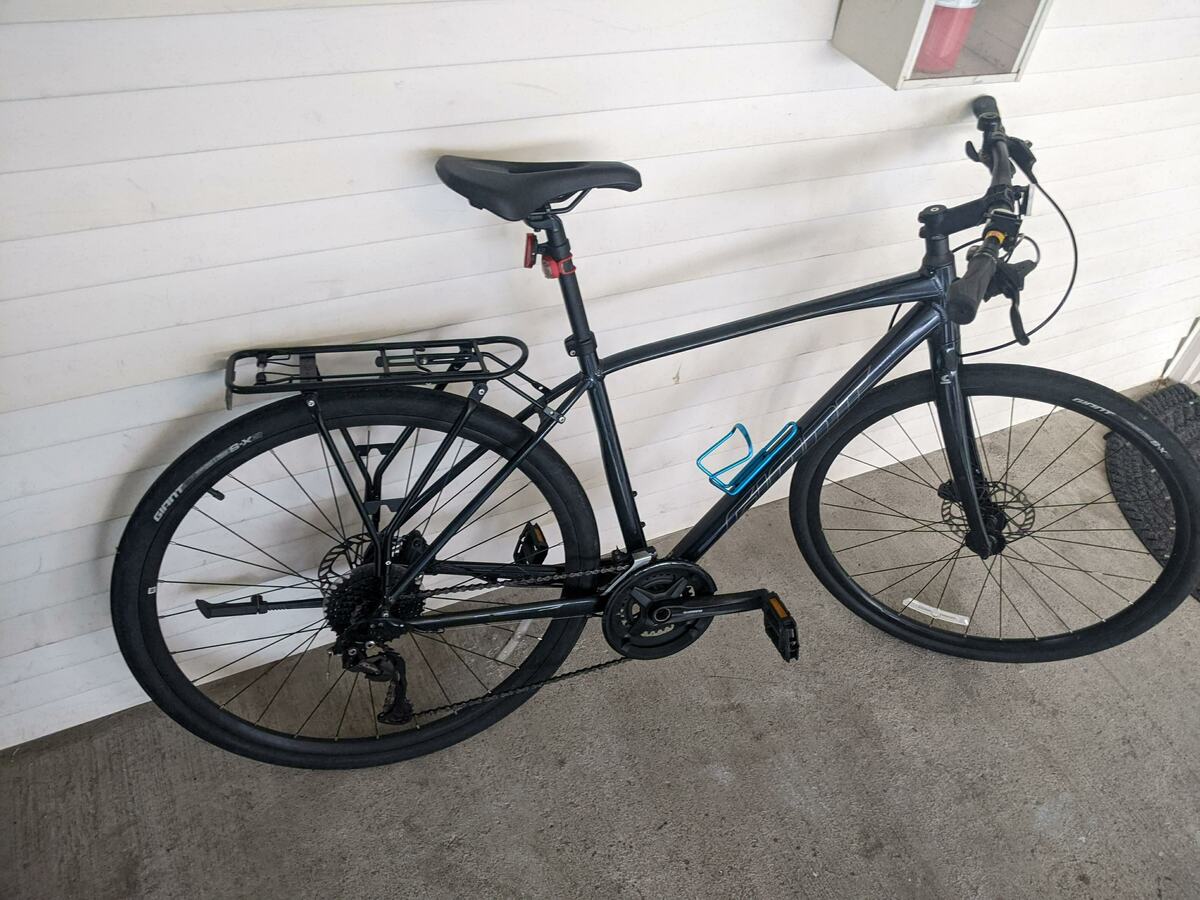 2022 Giant Escape Disc 2