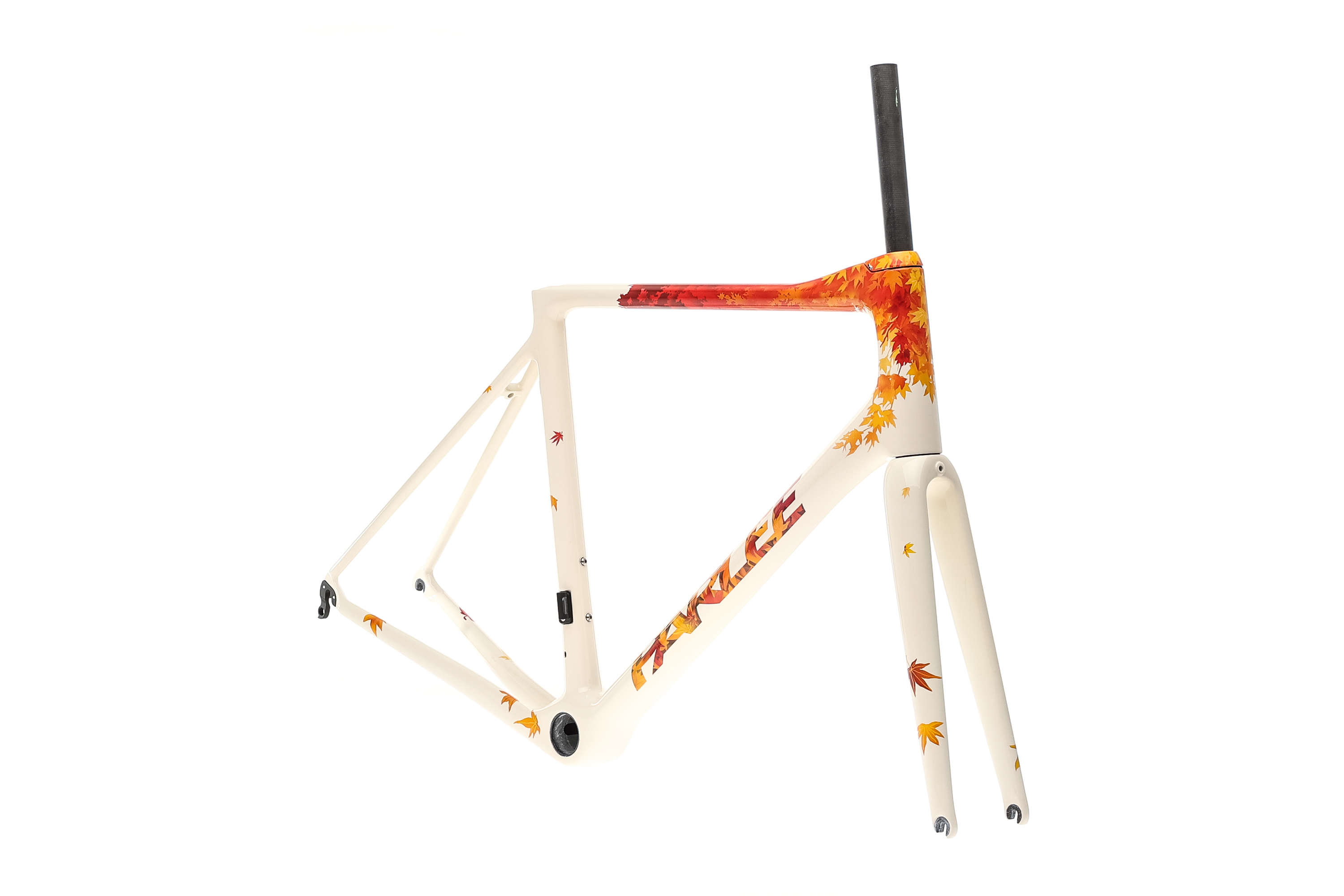 2019 Parlee Altum Rim