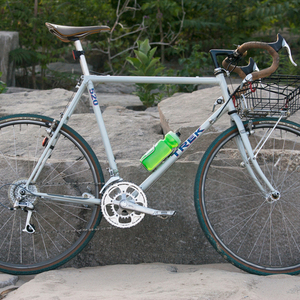 Stolen 1990 Trek 520