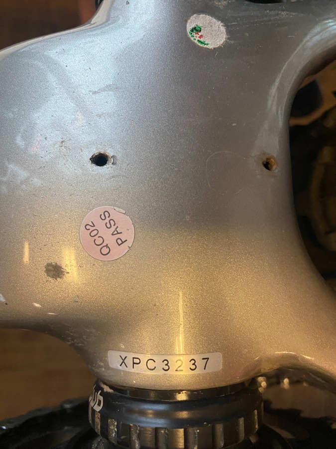 2020 Salsa Beargrease Carbon SX Eagle