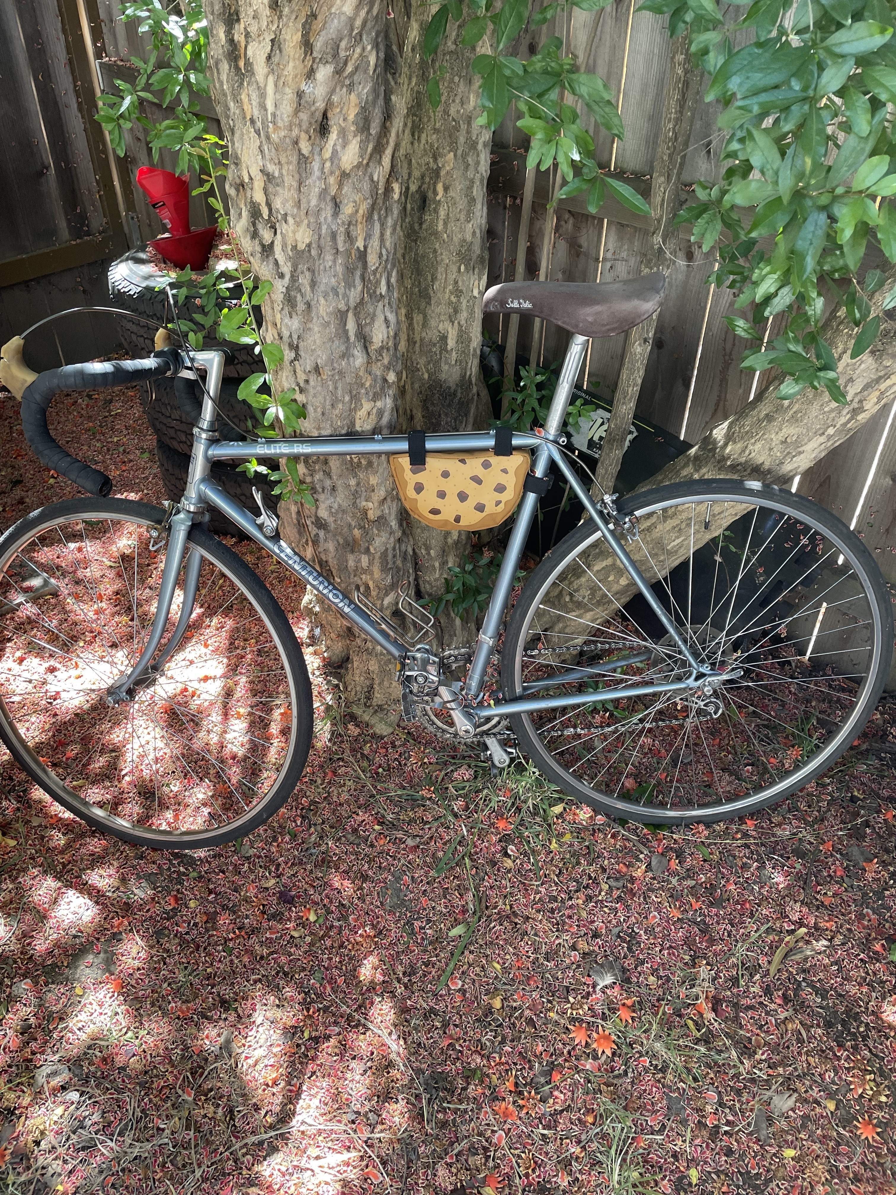 1984 Centurion Elite RS