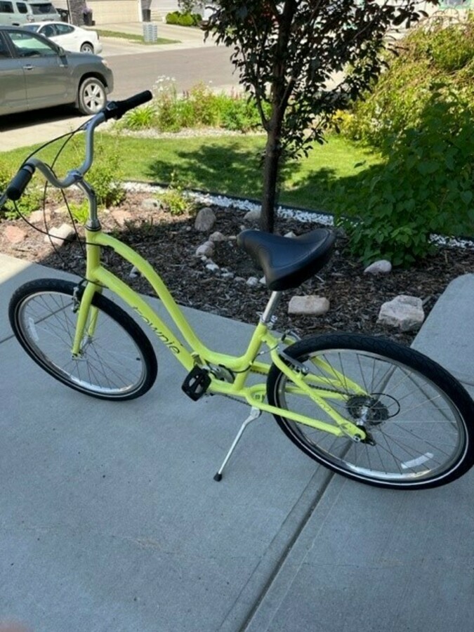 2023 Electra Townie 7D Step-Thru Pineapple