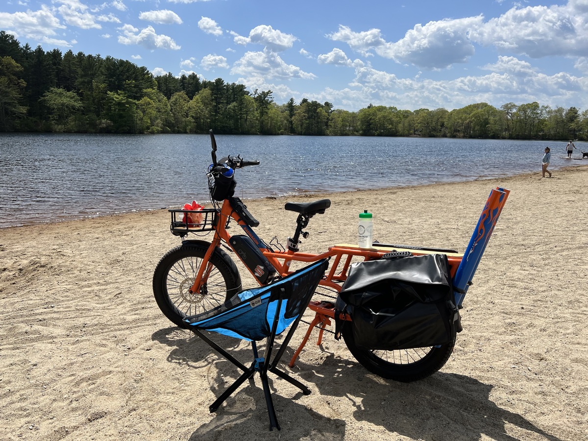 2022 Rad Power Bikes Rad Wagon 4