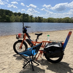 2022 Rad Power Bikes Rad Wagon 4