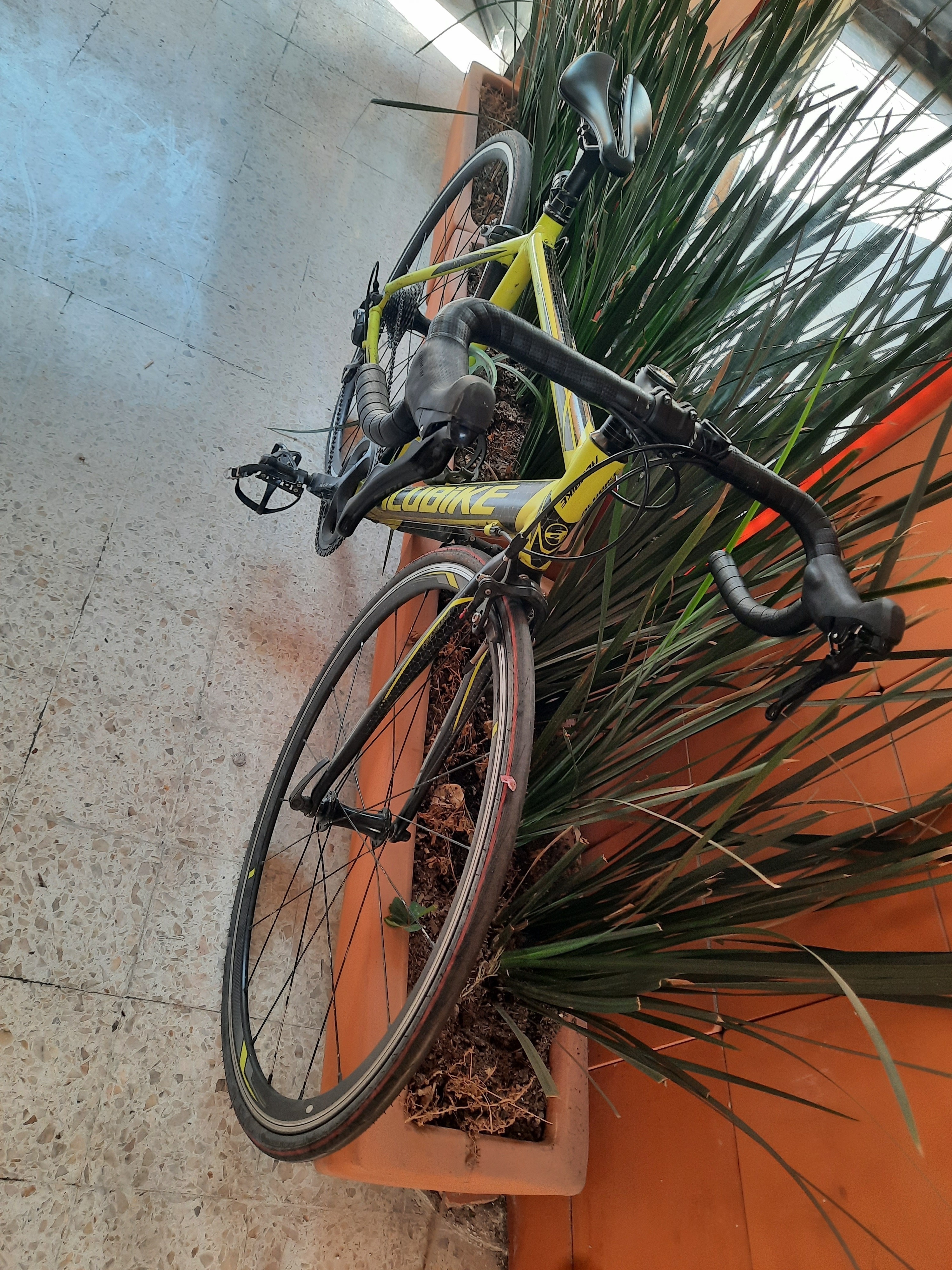2020 Alubike Ruta