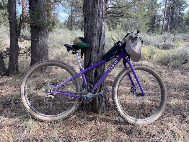 2018 Surly Karate Monkey